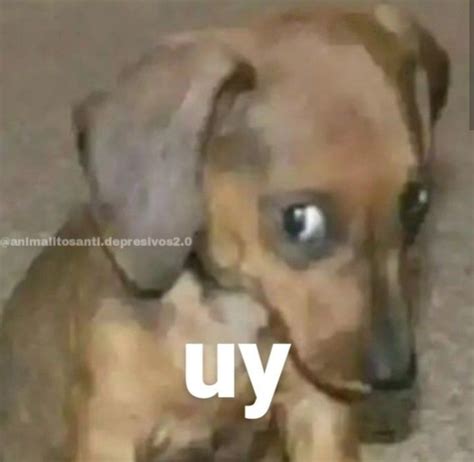 Pin De 💌 💌 En Lll Memes Español Graciosos Memes De Dibujos Animados