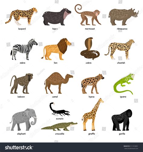 1927 Cheetah Hyena Royalty Free Photos And Stock Images Shutterstock