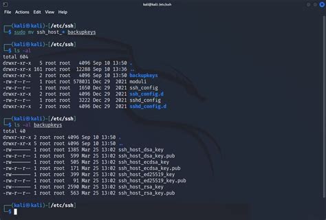 Easy Steps To Secure Your Kali Linux Operating System Tech Hyme