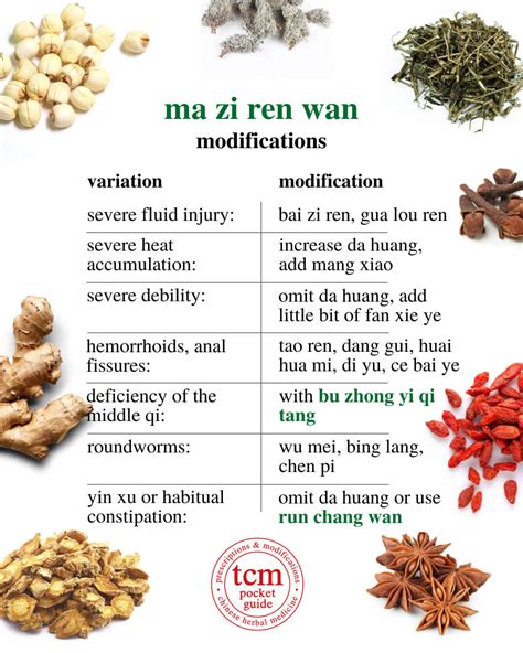 Ma Zi Ren Wan • 麻子仁丸 Tcm Pocketguide