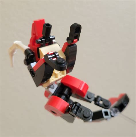 Year 2025 Status Assembled Limb Class 2 Diet Plants Habitat Land