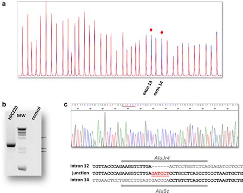 Identification And Characterization Of The Large Deletion Download