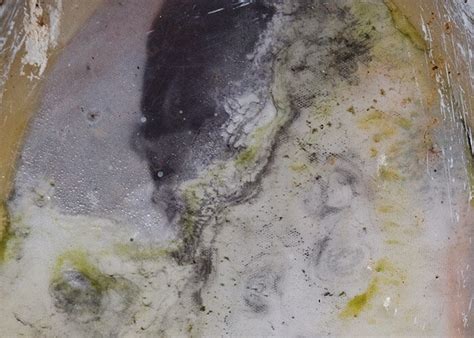 154 Contemporary African Art Fair Rakeb Sile Addis Fine Art Art Africa Magazine