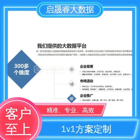 启晟睿大数据 1对1深度教学 画像线索全面覆盖 高效获客系统