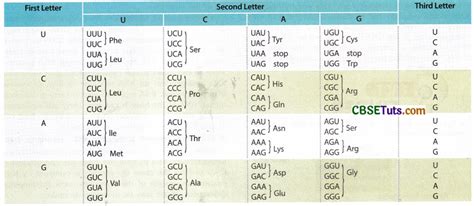 Genetic Code Definition Characteristics Table And Facts Cbse Tuts