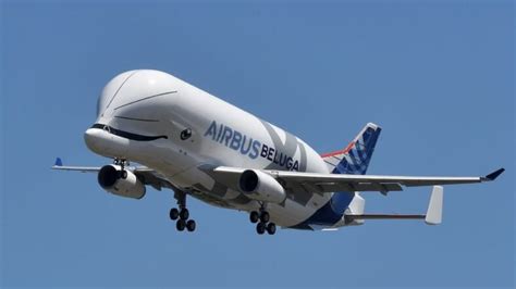 Airbus Introduces New Belugaxl Plane That Looks Like A Flying Whale