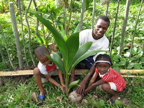 Agroforestry Definition And Explanation What Is Agroforestry