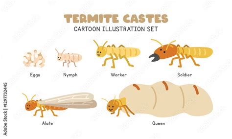 Termites Cartoon Clipart Cute Termite Life Cycle Isoptera Vector
