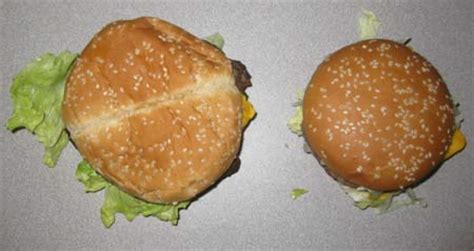 Double Burger Double Check Big Carl Vs Big Mac Rematch