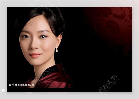 陈数图片素材 编号12733942 图行天下