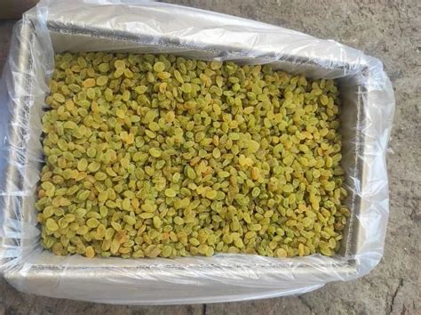Green Sweet Raisin At ₹ 30kg Garra Id 2856339066230