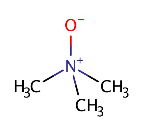 Trimethylamine Lewis Structure