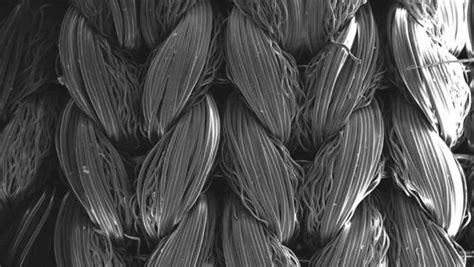 Motion Sensing Smart Textiles Will Open Up New Possibilities Textilegence