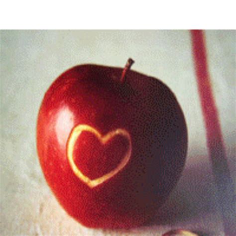 Zhang Yahui Phd Chinese Academy Of Forestry Beijing Caf