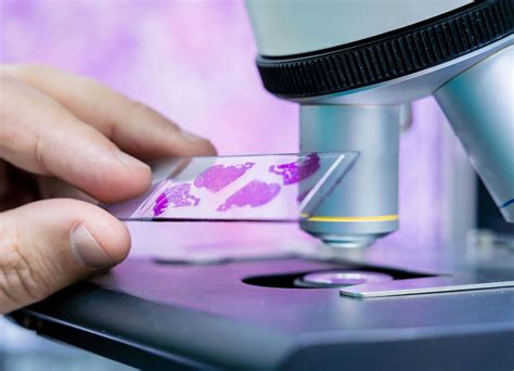 Histology Education Continuing Education For Histology Professionals