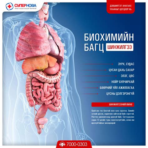 👩‍⚕️ 5 Цул эрхтний биохимийн шинжилгээ Элэгний биохими Alt Ast T Bil Alb Tp Цөсний биохими