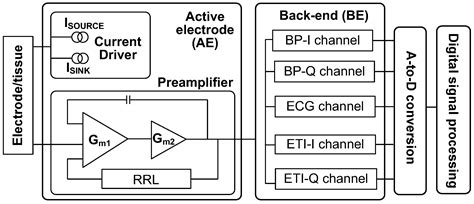 Active Electrode Monitoring System At Ebony Dunlop Blog