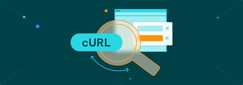 How To Send A Curl Get Request Headers Params And Examples