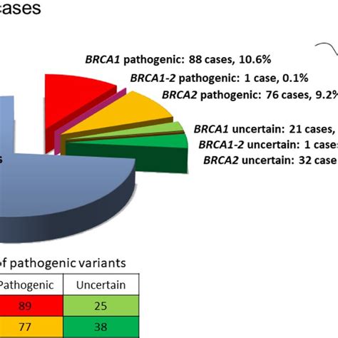 Results Of Brca1 2 Genetic Testing Of 827 Patients Download Scientific Diagram