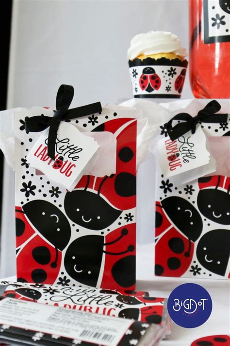 Ladybug Party Favors