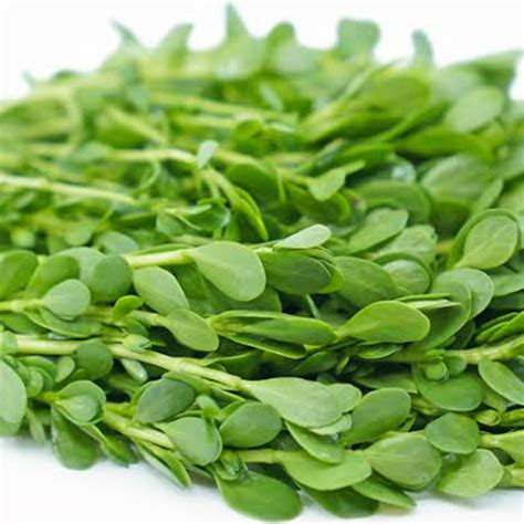 Rau Dang Knotgrass Au