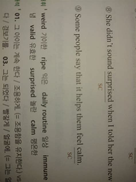 영어 문장 구조 Sc 지식in