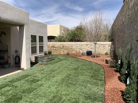 Tifgrand Bermuda Sod Shade Tolerant Phoenix Az