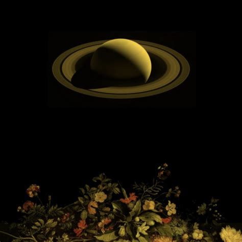 Szmt Panda Lassow You Can Safely Ignore The Arts And Sciences They