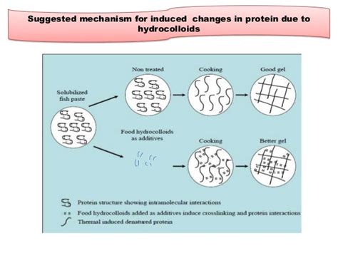 Hydrocolloid For Meat And Fish