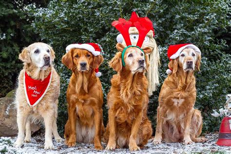 Sandra W Suitcase And Wanderlust