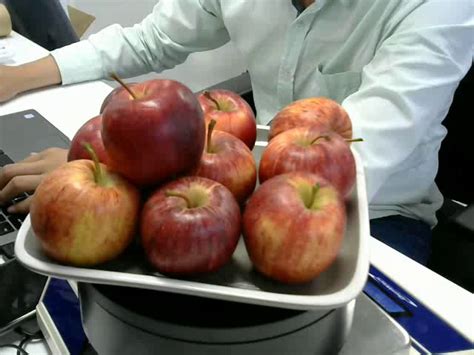 Fruit Training Data Instance Segmentation Dataset By MSC PROJECT