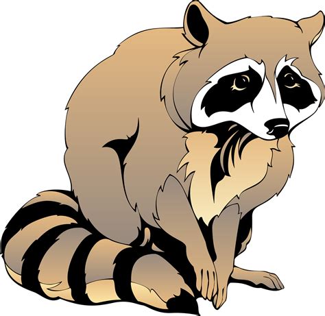 20000 Free Raccoon Face And Raccoon Images Pixabay