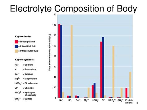 Ppt Fluid Electrolyte And Acid Base Balance Powerpoint Presentation