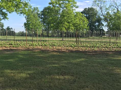Cairo High School Cairo High School Construction Class