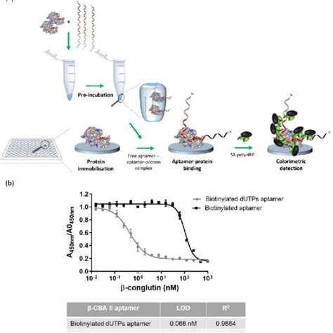 Competition Assay On Microtiter Plate A Schematic Representation Of