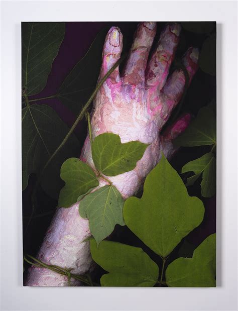 Allison Spence Department Of Art