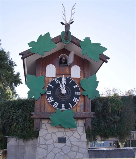 Pájaro Cucú De Carlos Paz Joya Histórica En Villa Carlos Paz Loros Y Guacamayos
