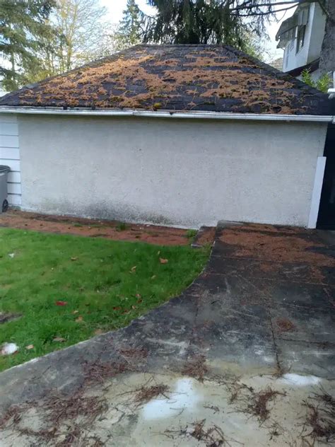 Stucco Removal In Vancouver Synchron Demolition