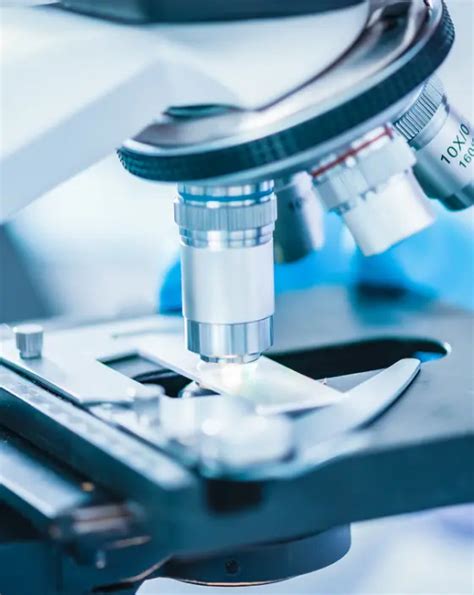 Comprehensive Guide To Polyacrylic Acid And Sodium Polyacrylate