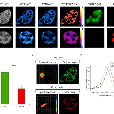 Development Of A Bisarylbutadiyne Esterase Sensor A Deprotonation Of