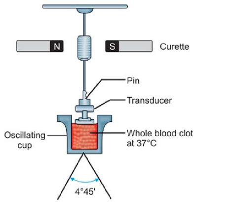 Basis Of The Thromboelastogram Teg Download Scientific Diagram
