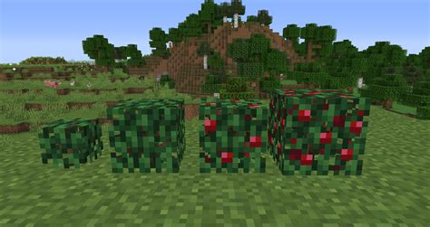 Blocky Sweet Berry Bush Gallery Minecraft Resource Packs Curseforge