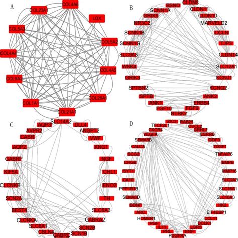 the ppi network is visualized in cytoscape and the mcode algorithm will