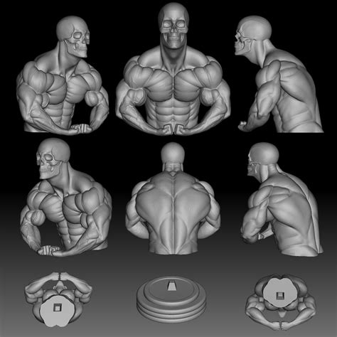 Bodybuilding Poses 3d Model 3d Printable Cgtrader