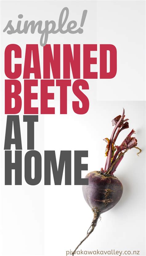Bottled Beetroot Recipes Nz