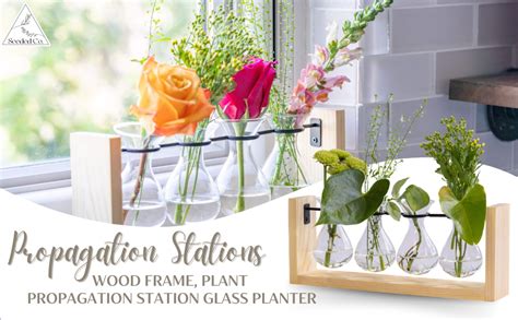 Propagation Stations Versatile Propagation Station W