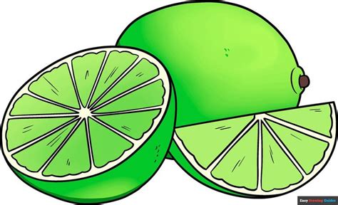 How To Draw A Lime Really Easy Drawing Tutorial Drawing Tutorial