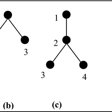 A Rooted Tree T1 B Rooted Tree T2 B Rooted Tree T3 Download