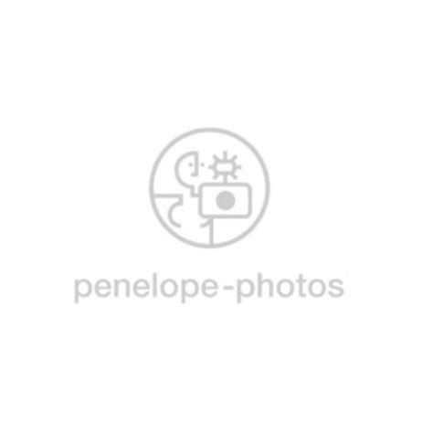 Penelope Photos My Greek Wedding