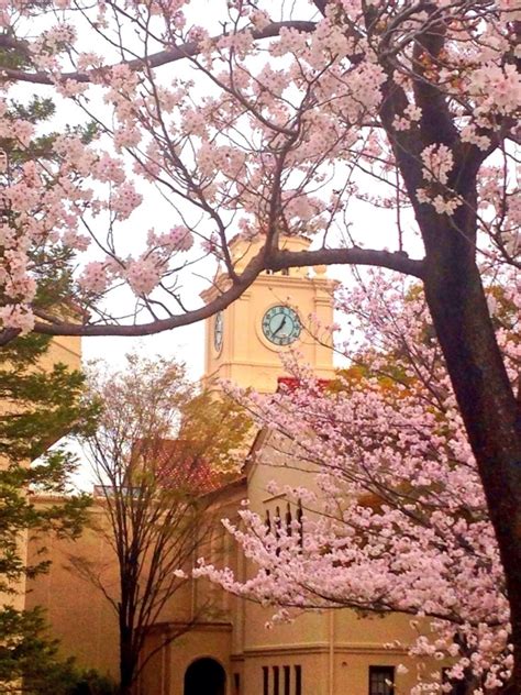 日本一美しいキャンパスといわれている大学 【関西学院大学】｜no Stamp No Life